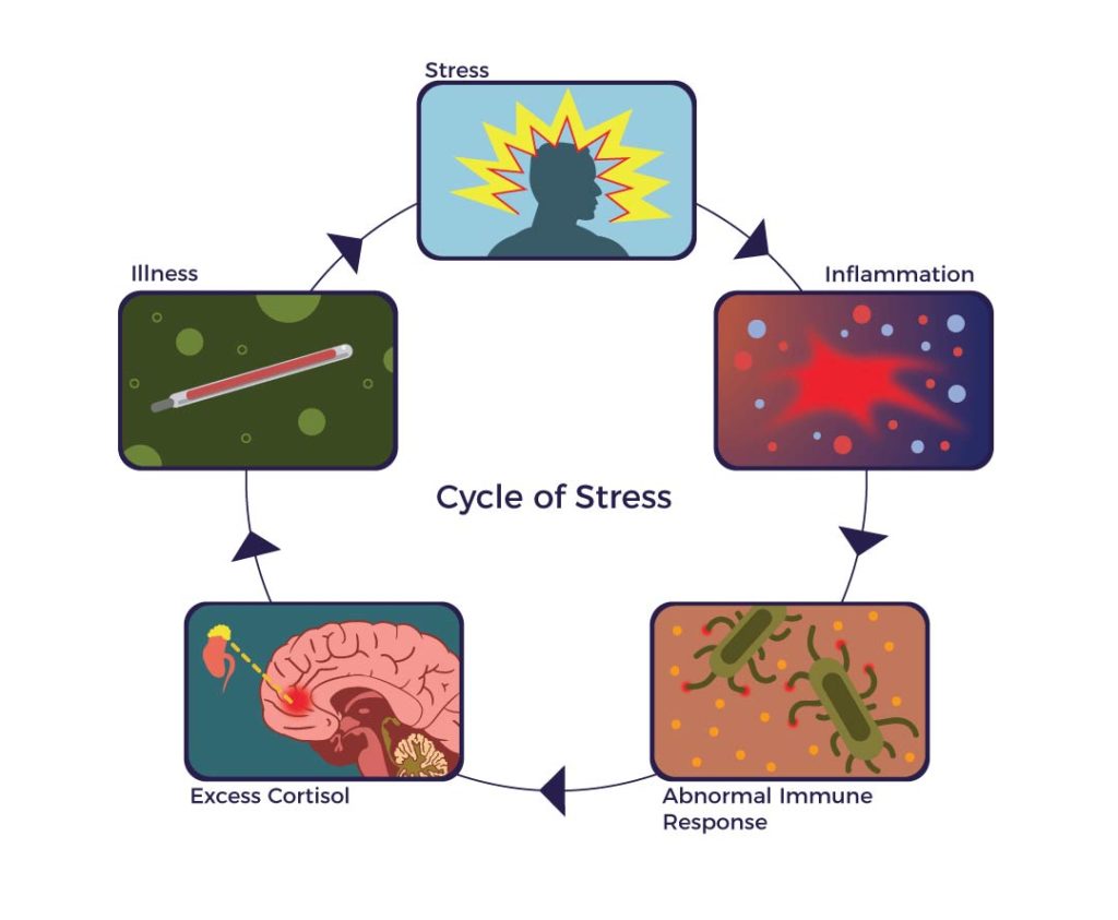 Improving Cell Therapy Outcomes | AMBROSE Cell Therapy