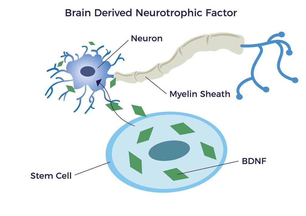 AMBROSE Cell Therapy for Neuropathy and Peripheral Nerve Pain