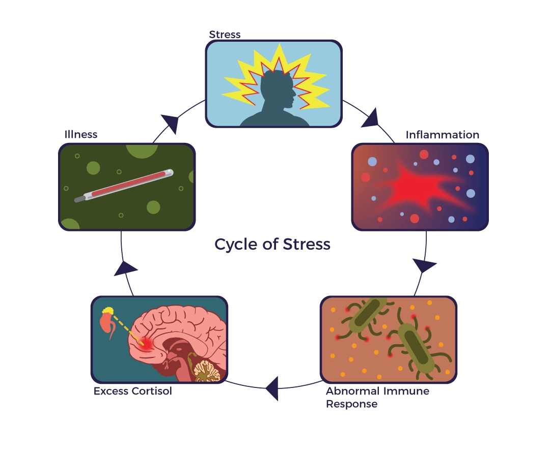 Realistic Expectations and Optimizing Your Outcome - AMBROSE Cell Therapy